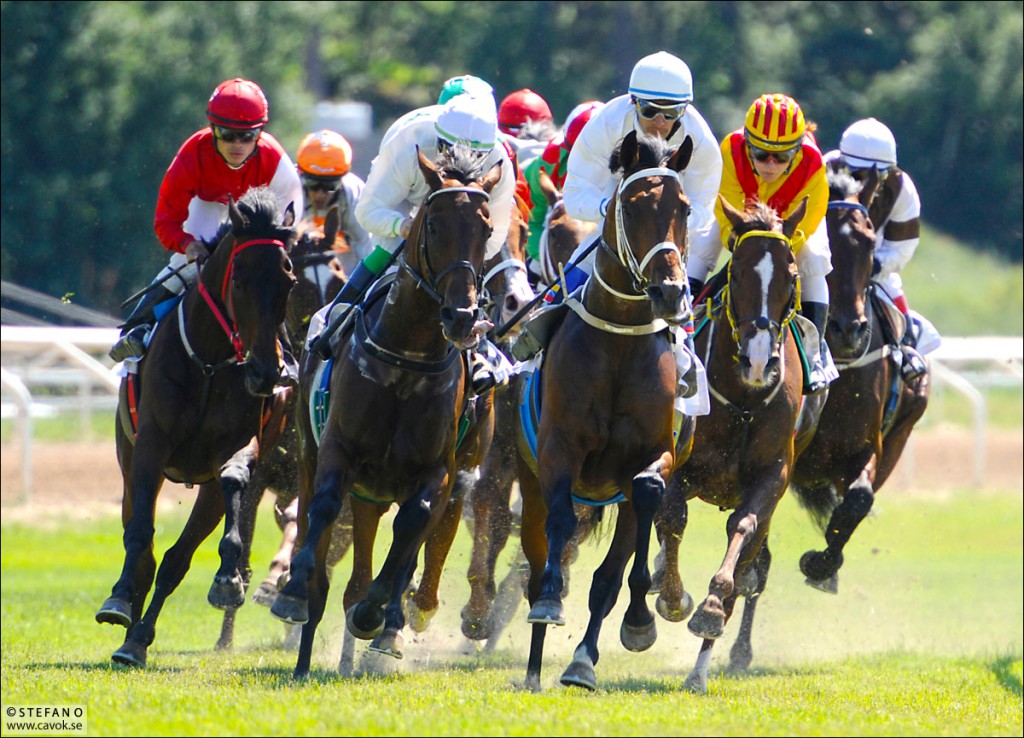 Foto galopp - galoppbilder | CAVOK photo | fotograf Stefan Olsson